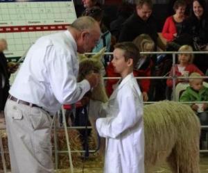 Pitchingga Ridge Alpacas - News